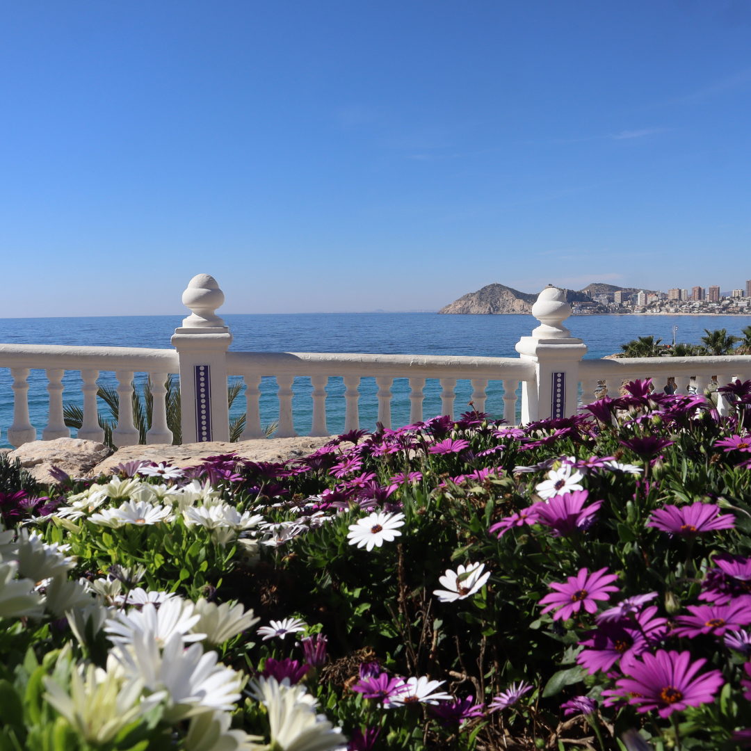 PRIMAVERA EN BENIDORM - Blog